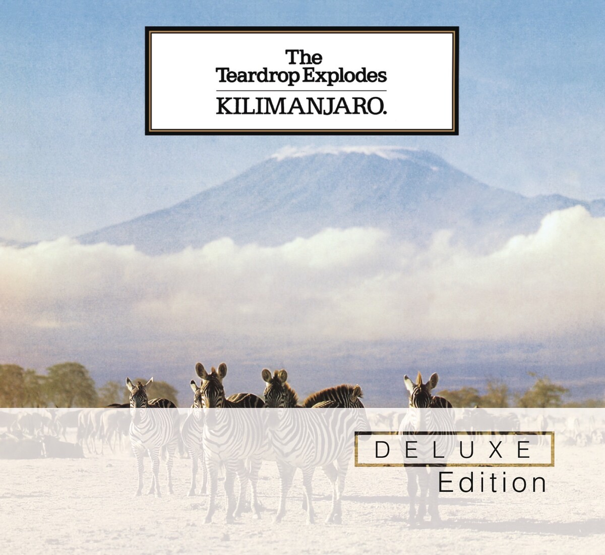Kilimanjaro by The Teardrop Explodes (Album; Mercury): Reviews, Ratings ...