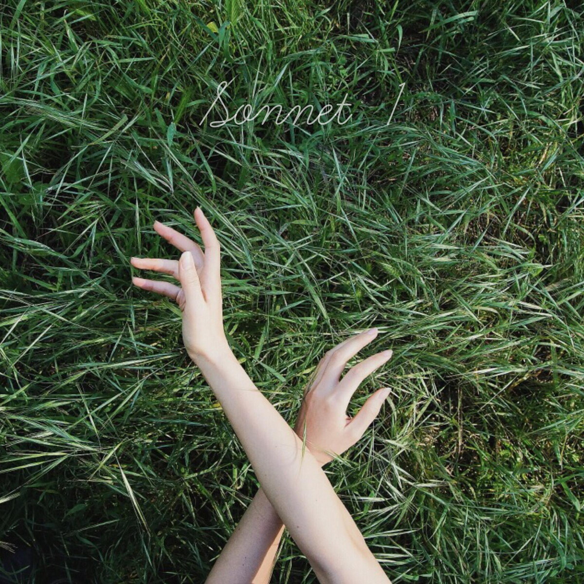 Sonnet 1 by The Cheers Cheers (Single, Dream Pop): Reviews, Ratings ...