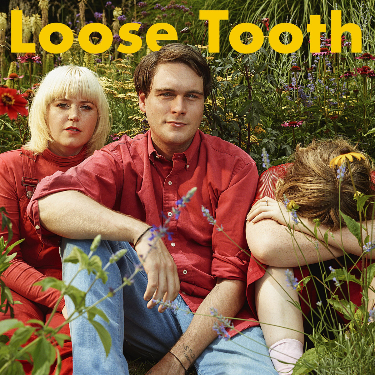 Loose Tooth Albums: songs, discography, biography, and listening guide ...