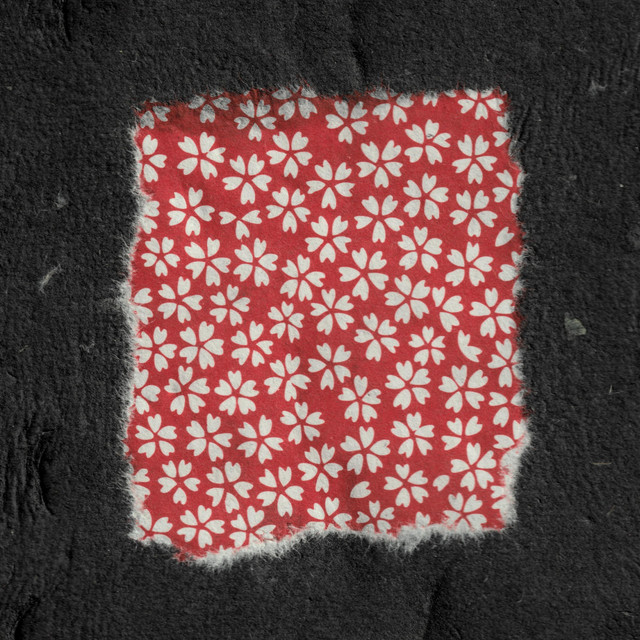 Developing Rabbitlike Tendencies by Lunar Excursion Module (Album ...