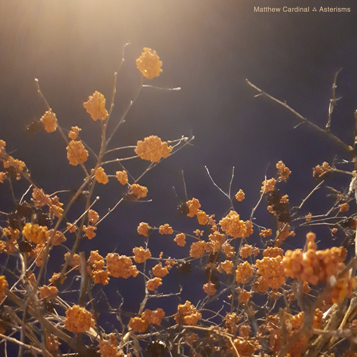 Matthew Cardinal Albums: songs, discography, biography, and listening ...