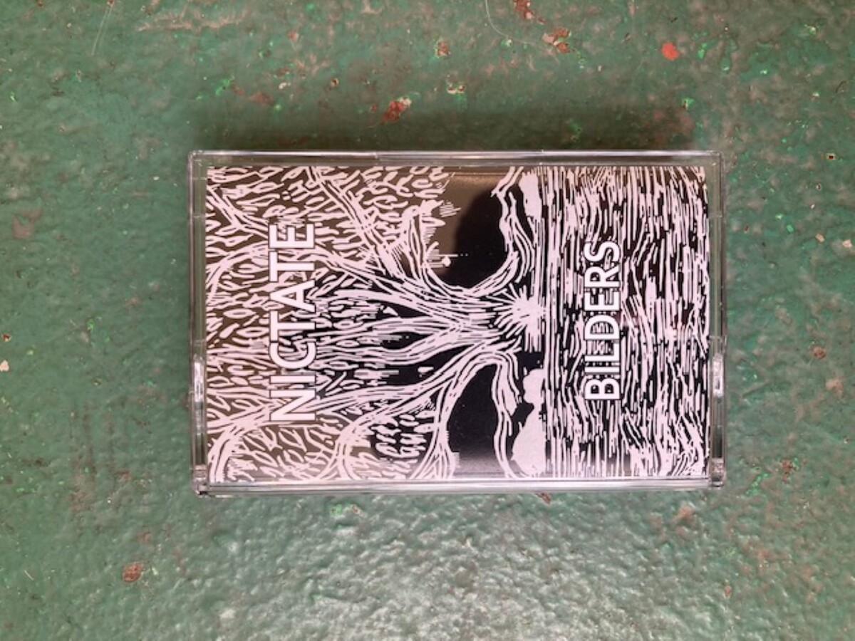 Nictate by Bilders (Album; Grapefruit): Reviews, Ratings, Credits, Song ...