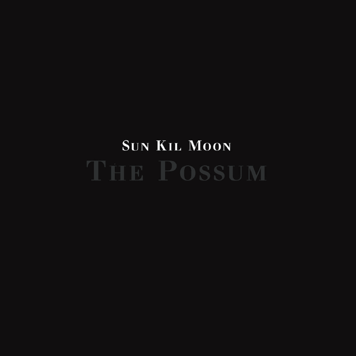 The Possum by Sun Kil Moon (Single, Contemporary Folk): Reviews ...