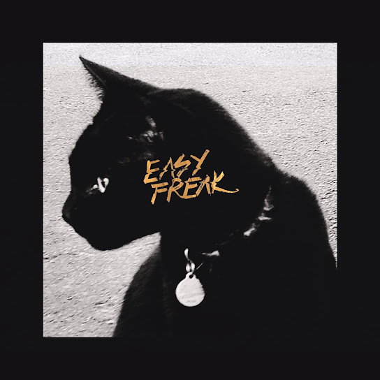 Bitter Taste by Easy Freak & Kaien Cruz (Single): Reviews, Ratings, Credits, Song list - Rate ...