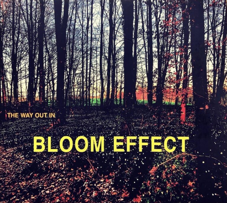 Bloom Effect Albums: songs, discography, biography, and listening guide ...