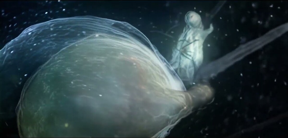 Nature Is Ancient by Björk (Music video, Trip Hop): Reviews, Ratings ...