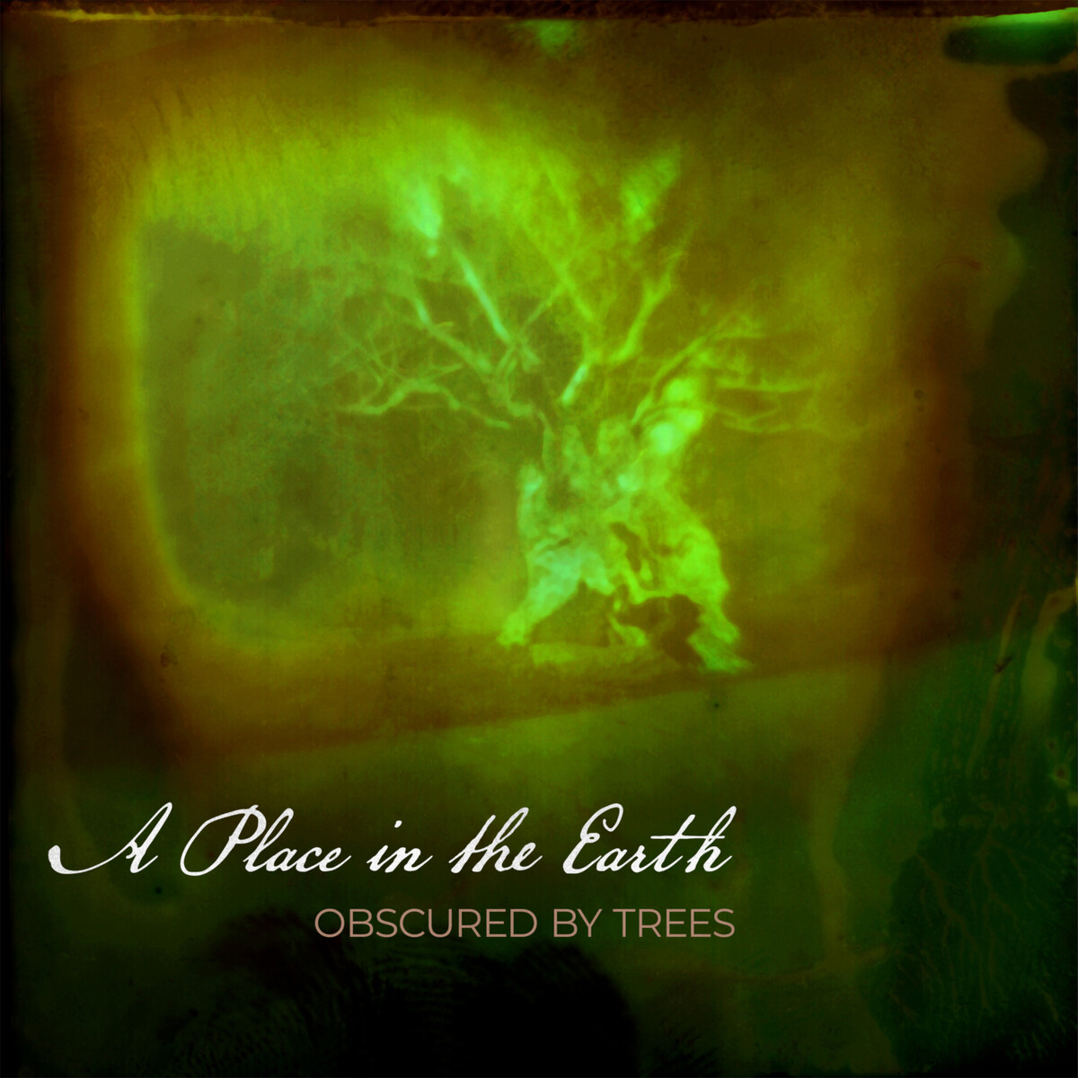 Obscured by Trees Albums: songs, discography, biography, and listening ...