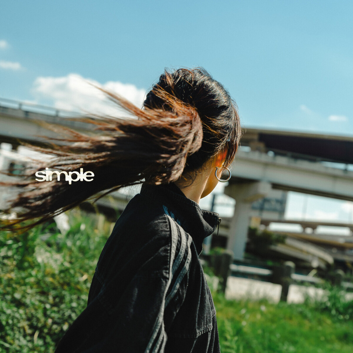 Simple by Sung Holly (Single): Reviews, Ratings, Credits, Song list ...