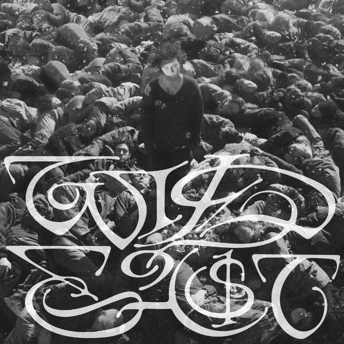 Saluki Albums: songs, discography, biography, and listening guide ...