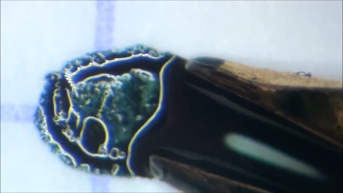 Alesce by Doon Kanda (Music video, Epic Collage): Reviews, Ratings ...