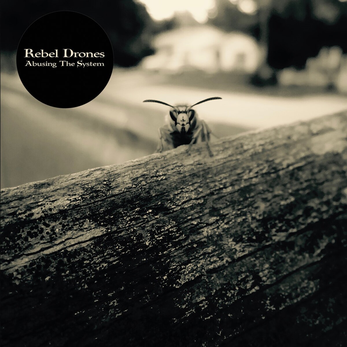 Abusing the System by Rebel Drones (Album): Reviews, Ratings, Credits ...