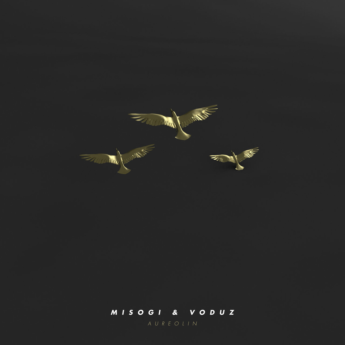 Voduz Albums: songs, discography, biography, and listening guide - Rate ...