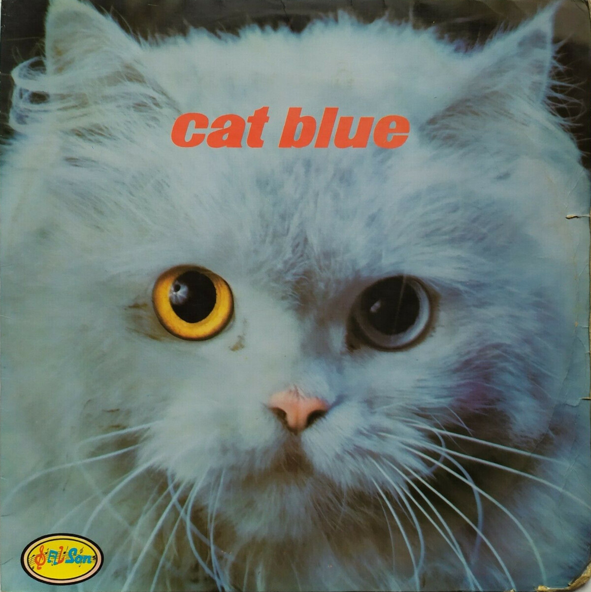 Cat Blue Albums: songs, discography, biography, and listening guide ...