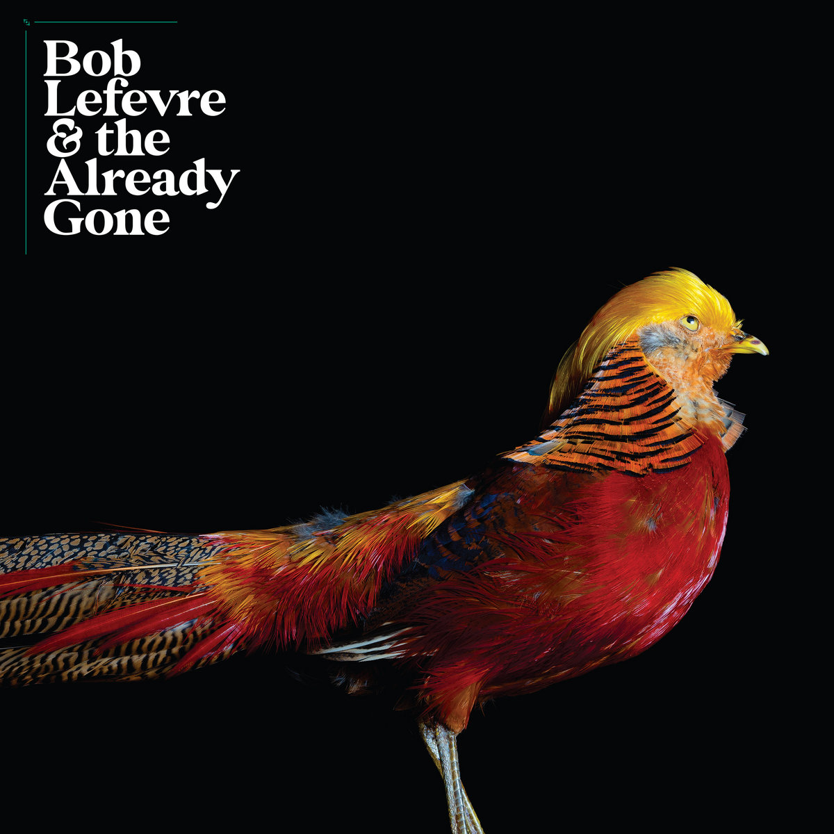 Bob Lefevre & the Already Gone by Bob Lefevre & The Already Gone (Album ...
