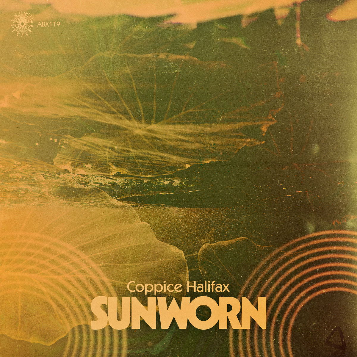 Sunworn by Coppice Halifax (Album): Reviews, Ratings, Credits, Song ...