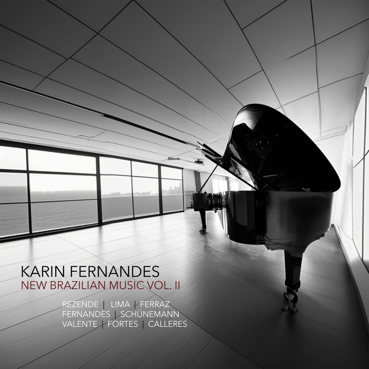 New Brazilian Music Vol. II by Karin Fernandes (Album, Modern Classical ...