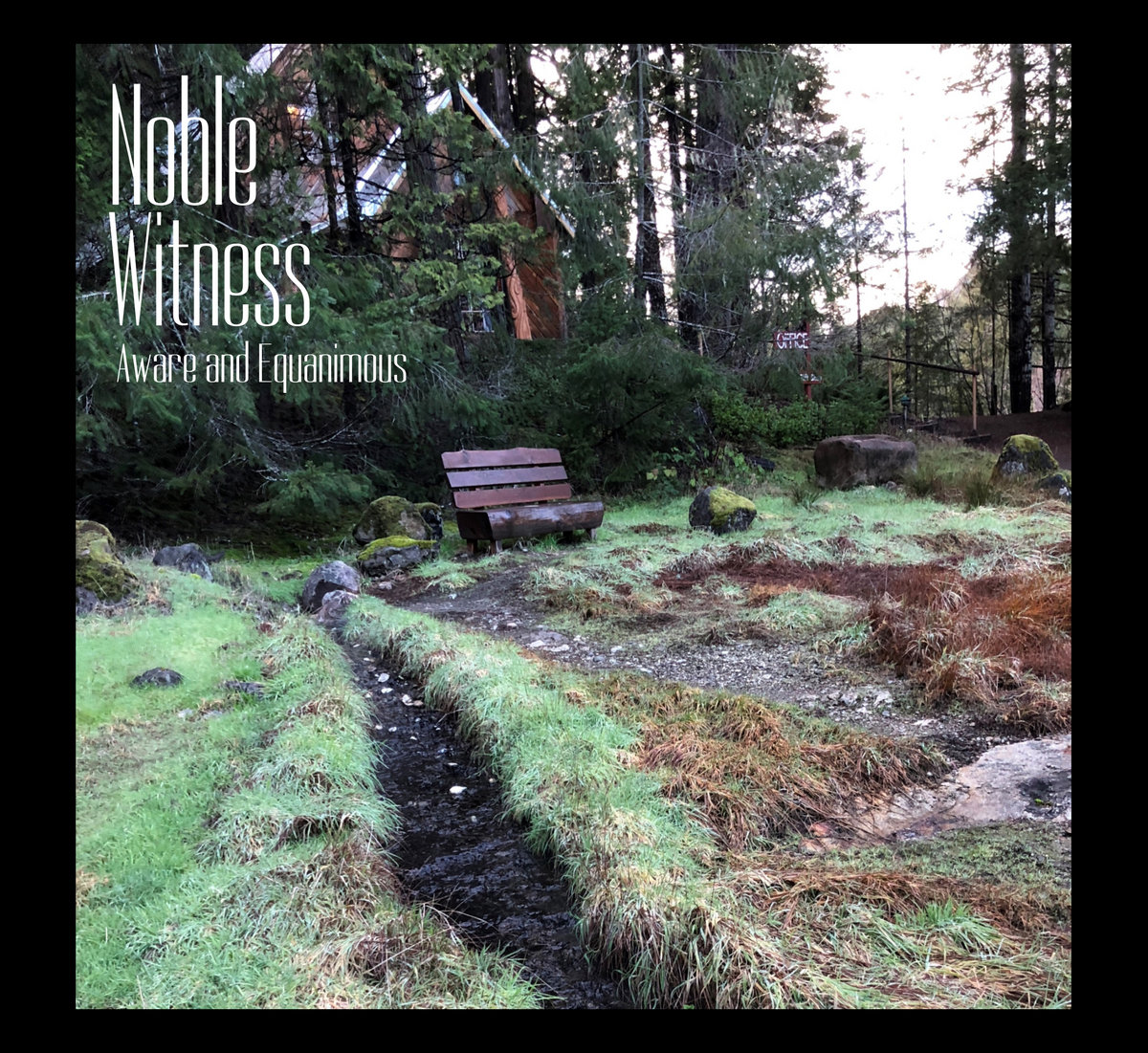 Aware and Equanimous by Noble Witness (Album): Reviews, Ratings ...