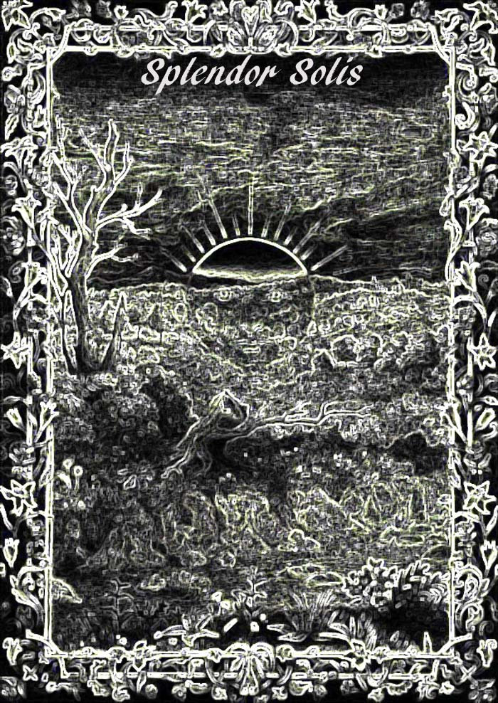 Splendor Solis Pt. 1 by DirtbagMarley (Album): Reviews, Ratings ...