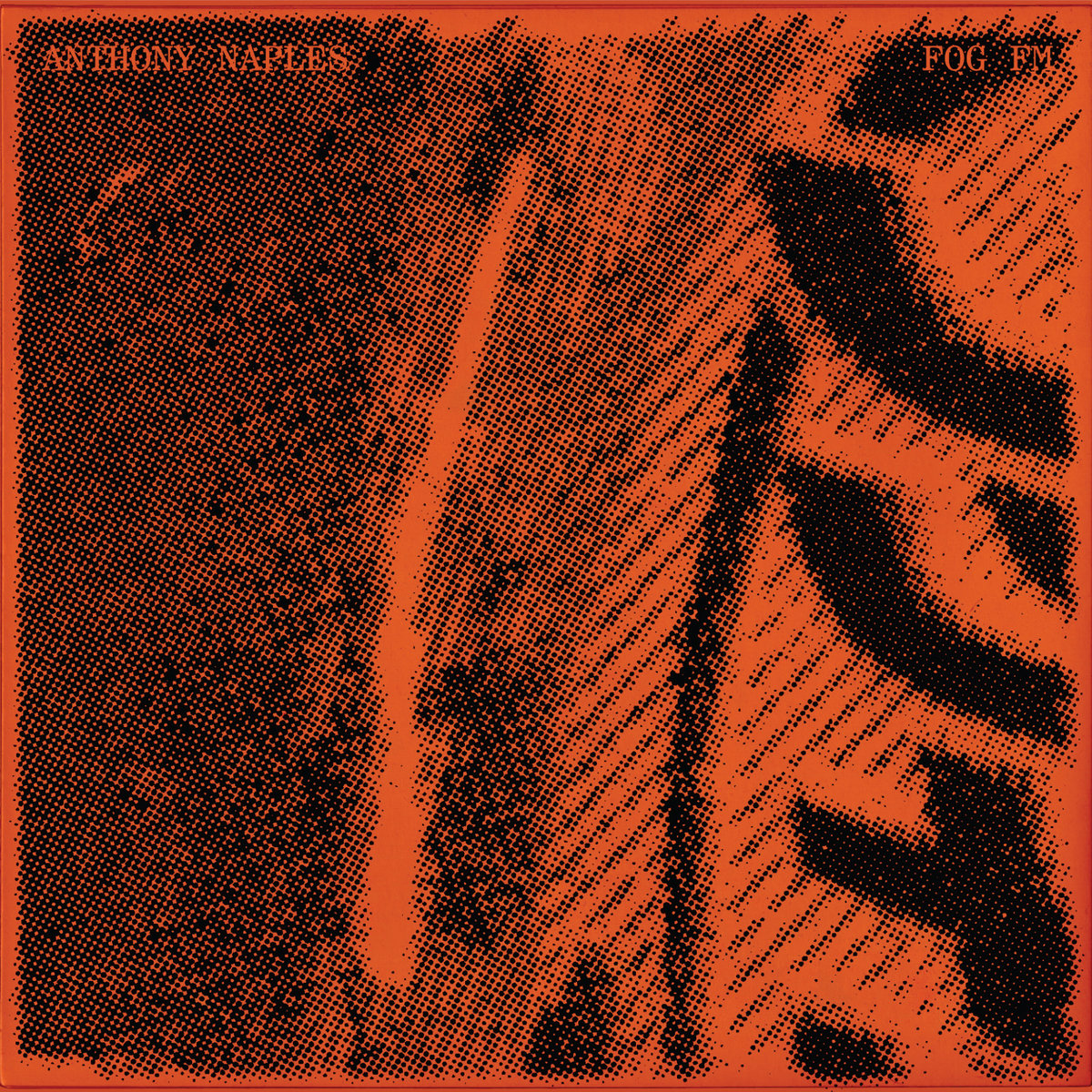 Anthony Naples Albums: songs, discography, biography, and listening ...