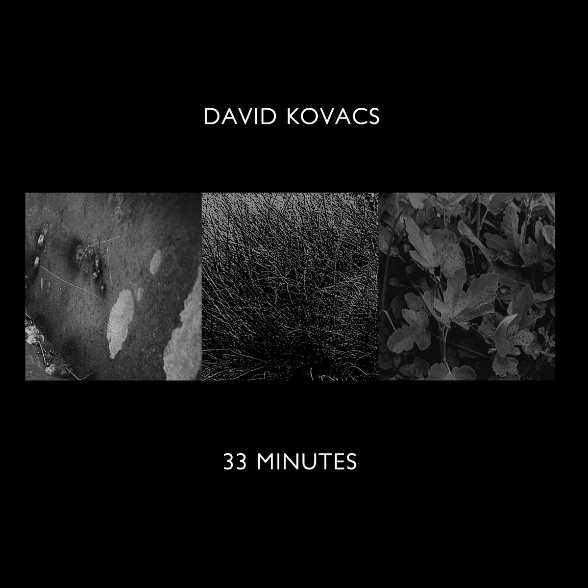 33 Minutes by David Kovacs (Album): Reviews, Ratings, Credits, Song ...