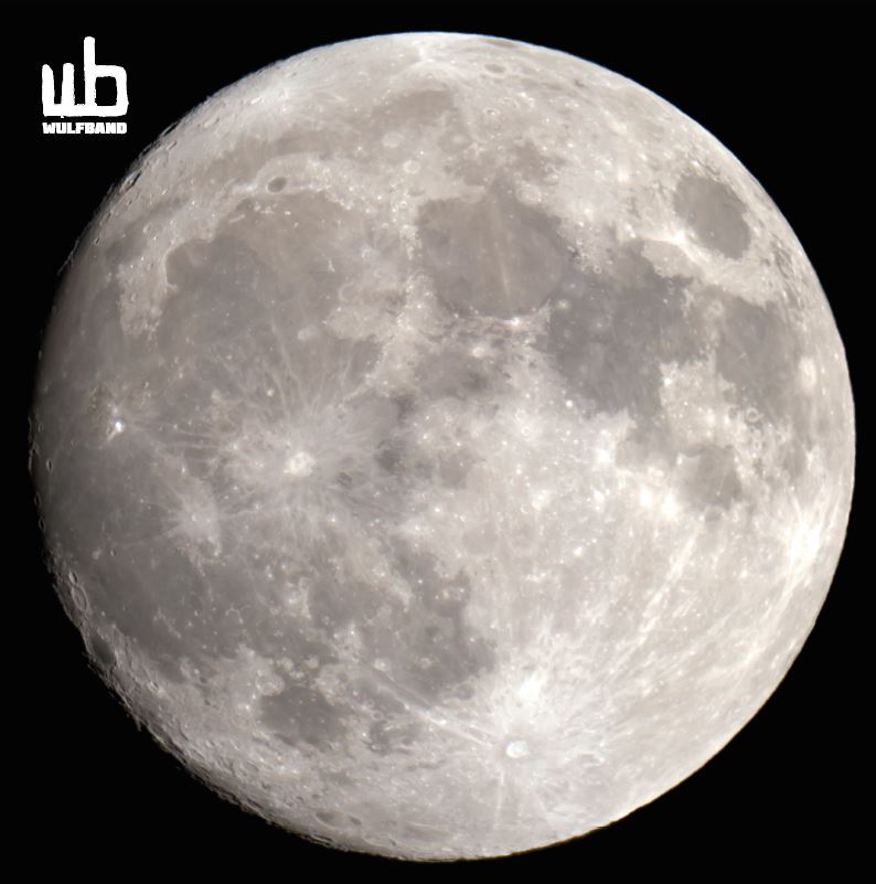 Wulfband Albums: songs, discography, biography, and listening guide ...