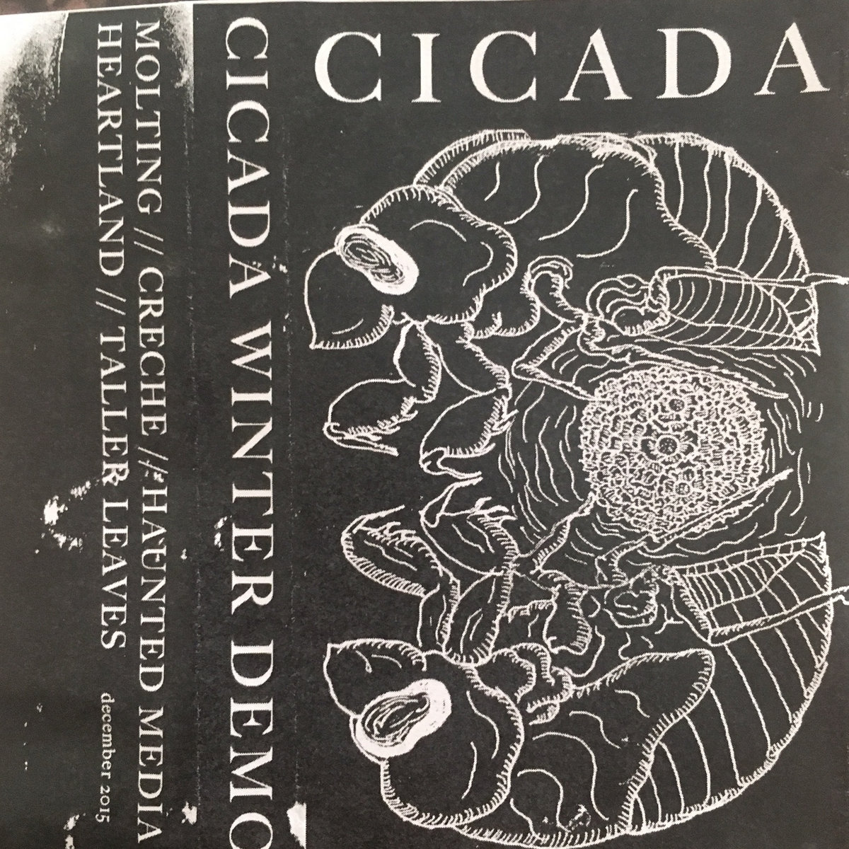 Cicada Albums: songs, discography, biography, and listening guide ...