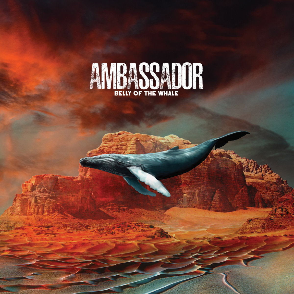 Belly of the Whale by Ambassador (Album): Reviews, Ratings, Credits ...