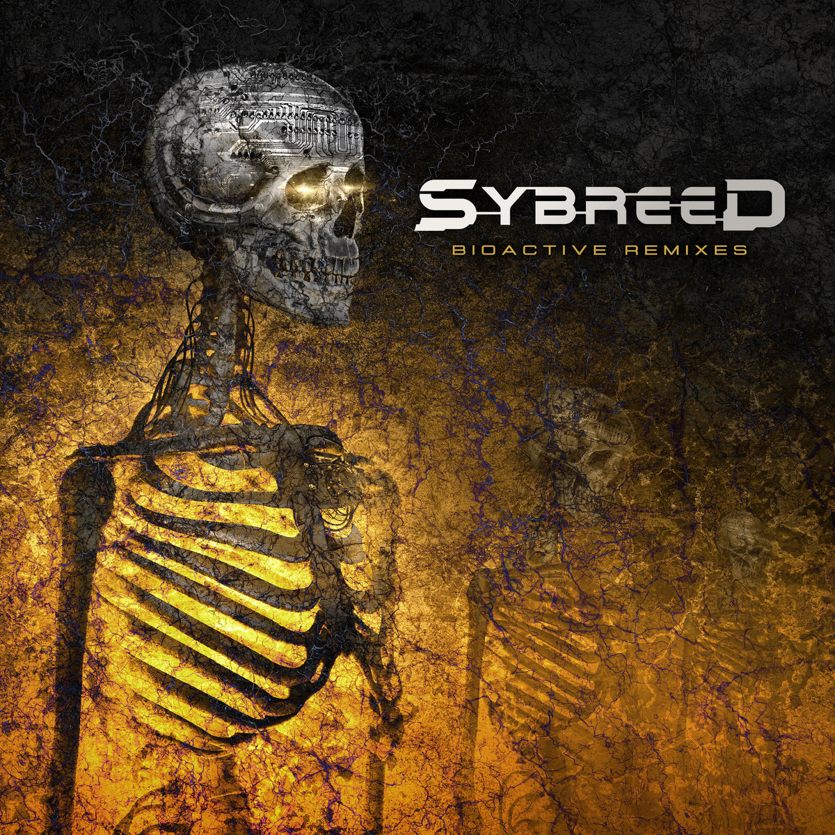 Bioactive Remixes by Sybreed (Album; n/a): Reviews, Ratings, Credits ...