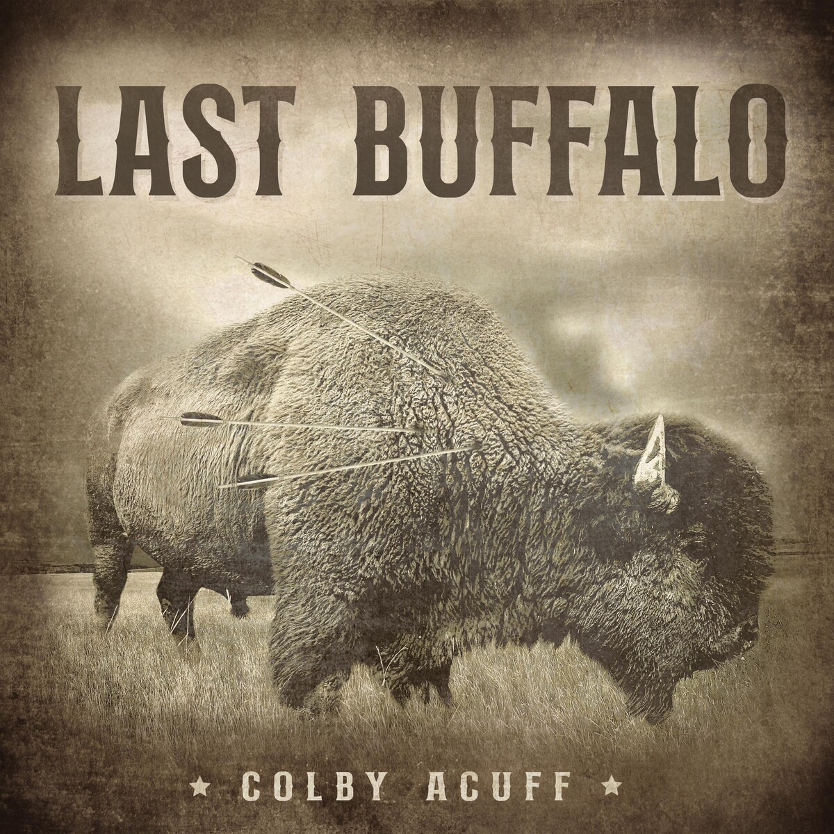 Last Buffalo by Colby Acuff (Single): Reviews, Ratings, Credits, Song ...