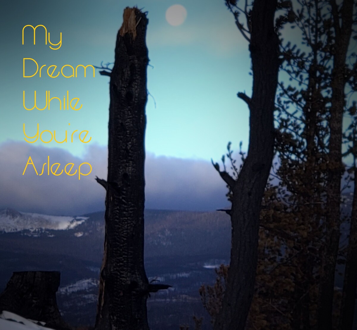 My Dream While You're Asleep by Rik Johnson (EP): Reviews, Ratings ...