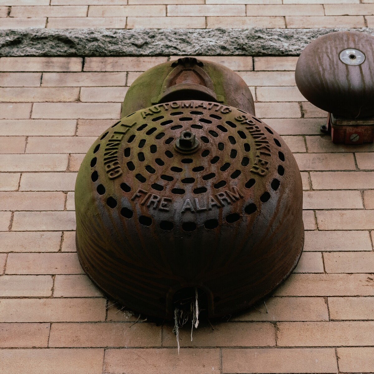 Born Day by The Doppelgangaz (Single): Reviews, Ratings, Credits, Song ...