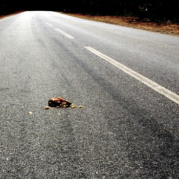 Rejects by OCP (Album): Reviews, Ratings, Credits, Song list - Rate ...