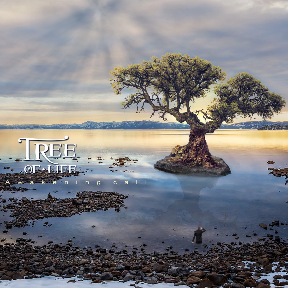 Tree of Life Albums: songs, discography, biography, and listening guide ...