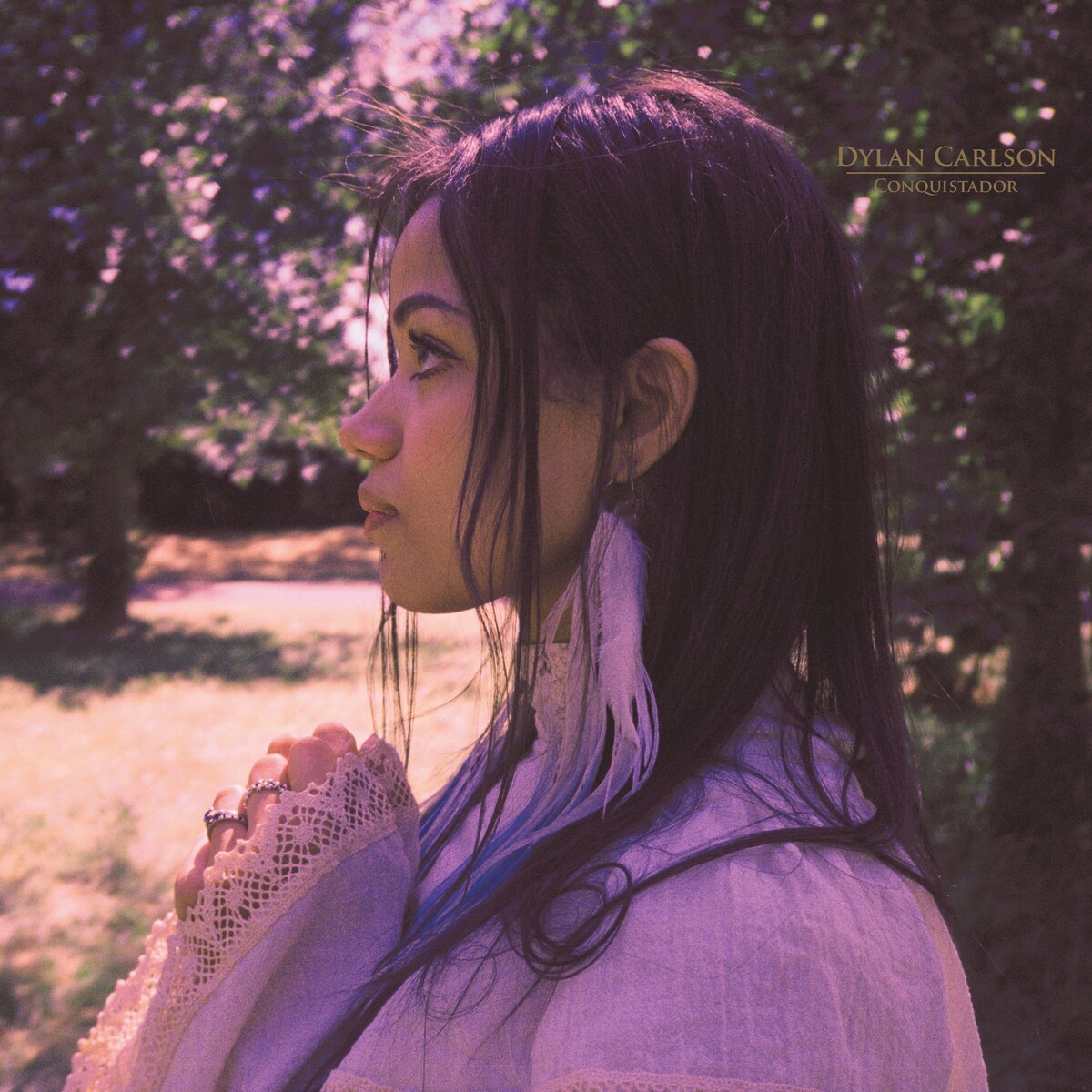 Dylan Carlson Albums: songs, discography, biography, and listening ...