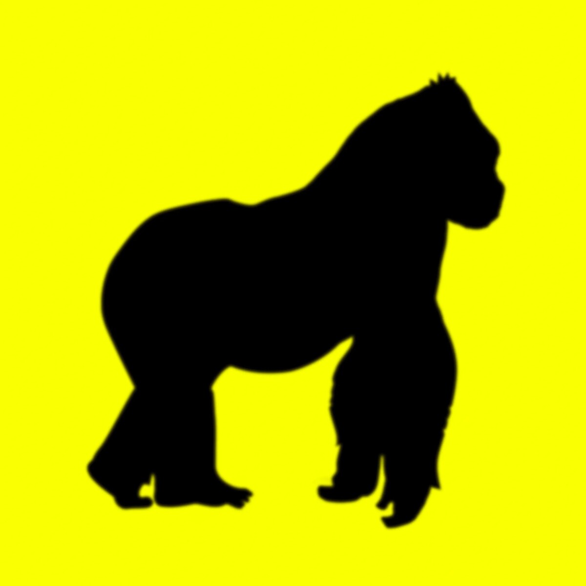 rusowsky Albums: songs, discography, biography, and listening guide ...
