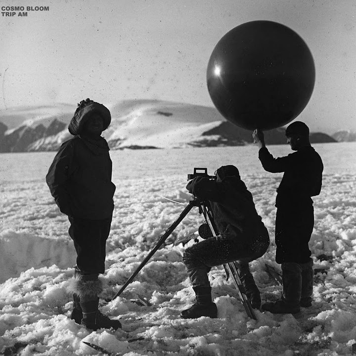 Trip AM by Cosmo Bloom (Album): Reviews, Ratings, Credits, Song list ...