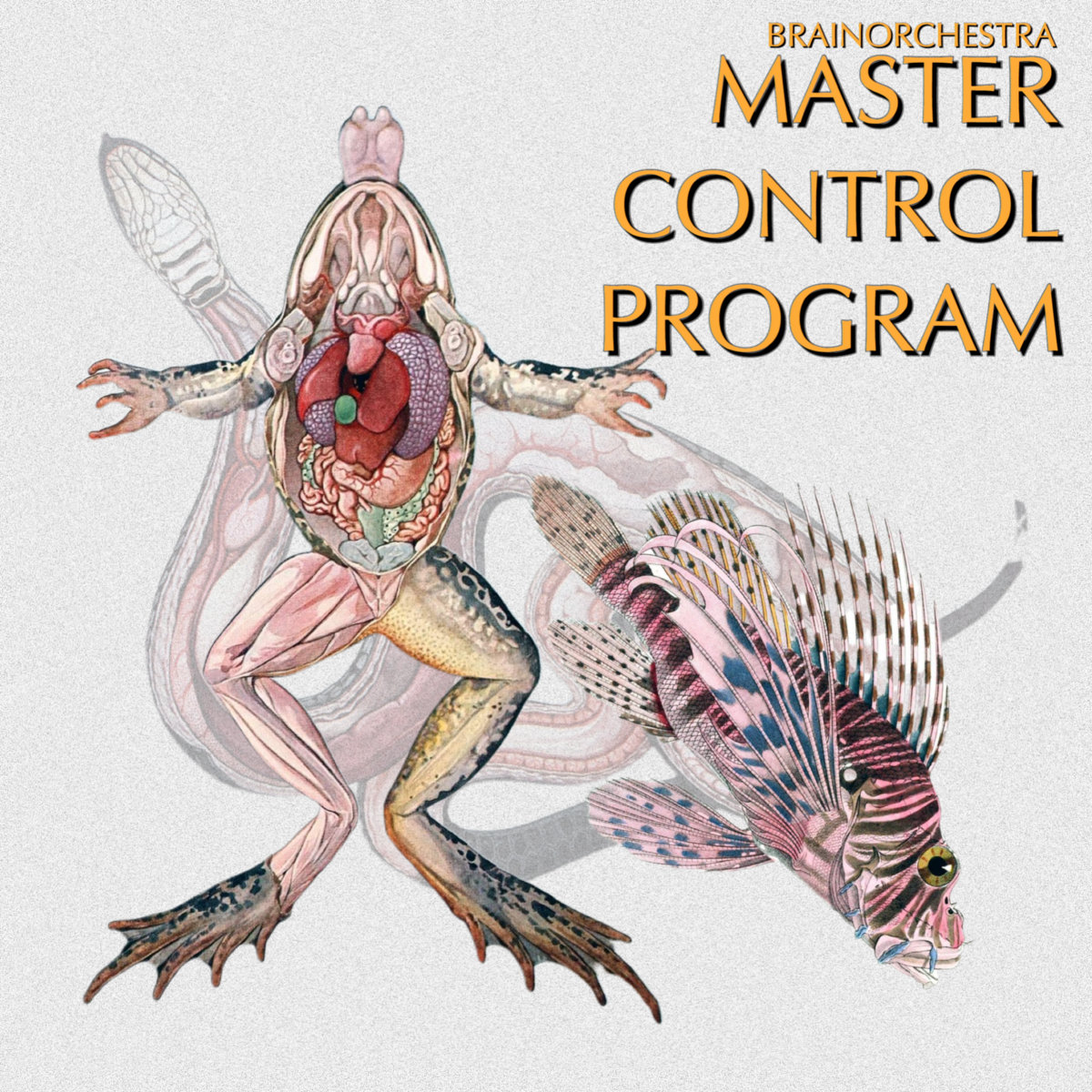 Master Control Program by Brainorchestra (Album): Reviews, Ratings ...