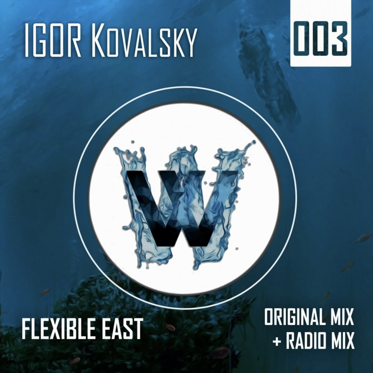 Flexible East by Igor Kovalsky (Single): Reviews, Ratings, Credits, Song list - Rate Your Music