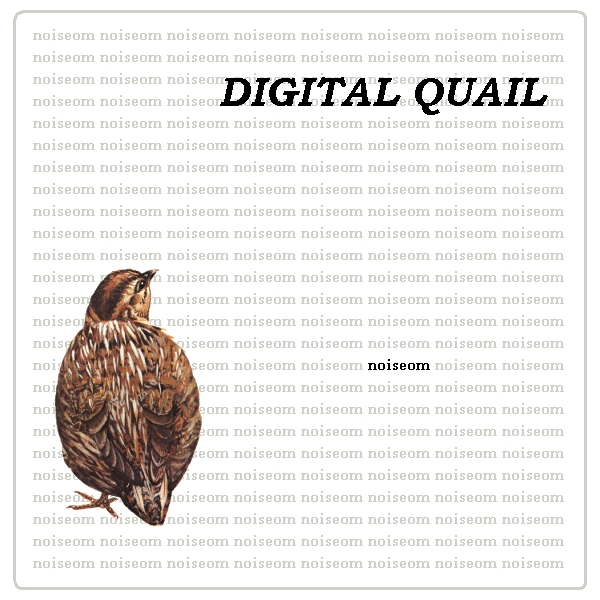 Digital Quail Albums: songs, discography, biography, and listening ...