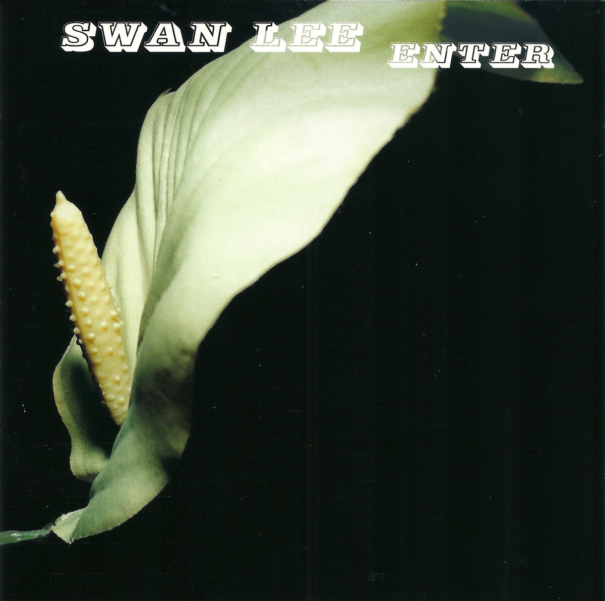 Enter by Swan Lee (Album, Indie Pop): Reviews, Ratings, Credits, Song ...