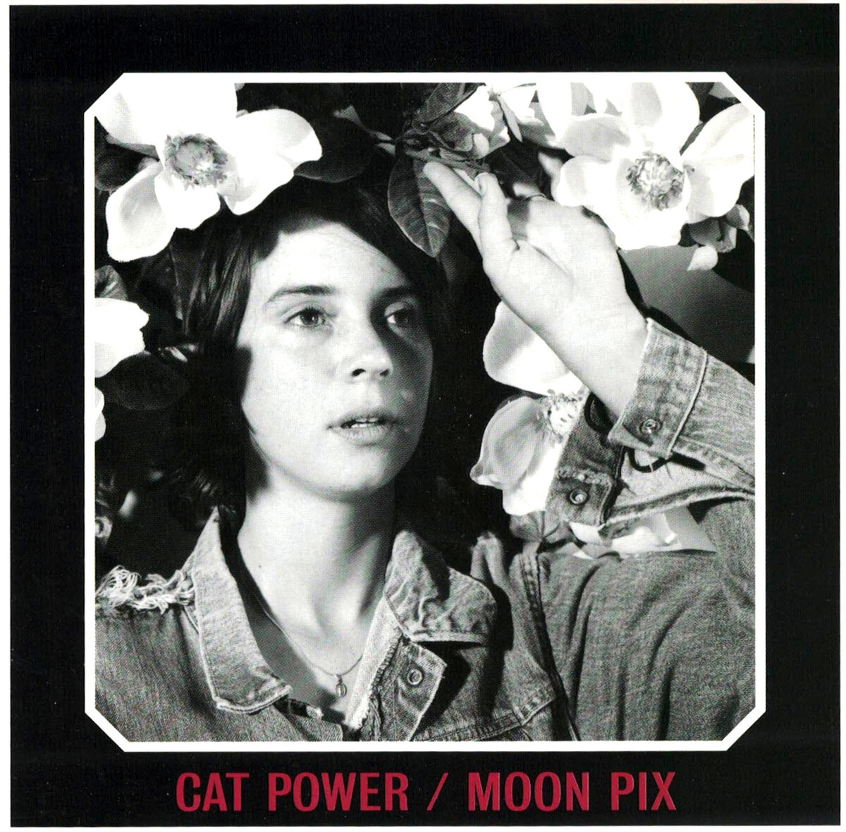 Cat Power Albums: songs, discography, biography, and listening guide ...