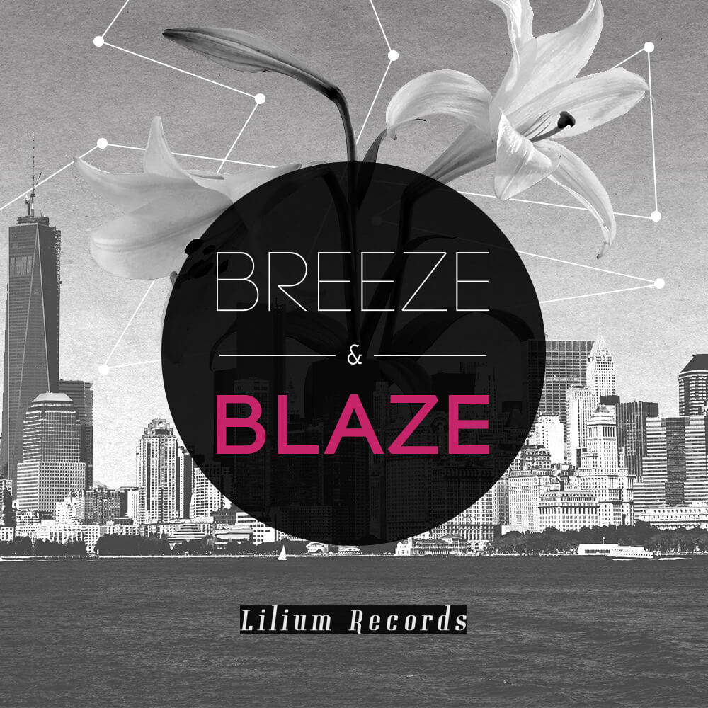 Breeze & Blaze by Various Artists (Album, Drum and Bass): Reviews ...