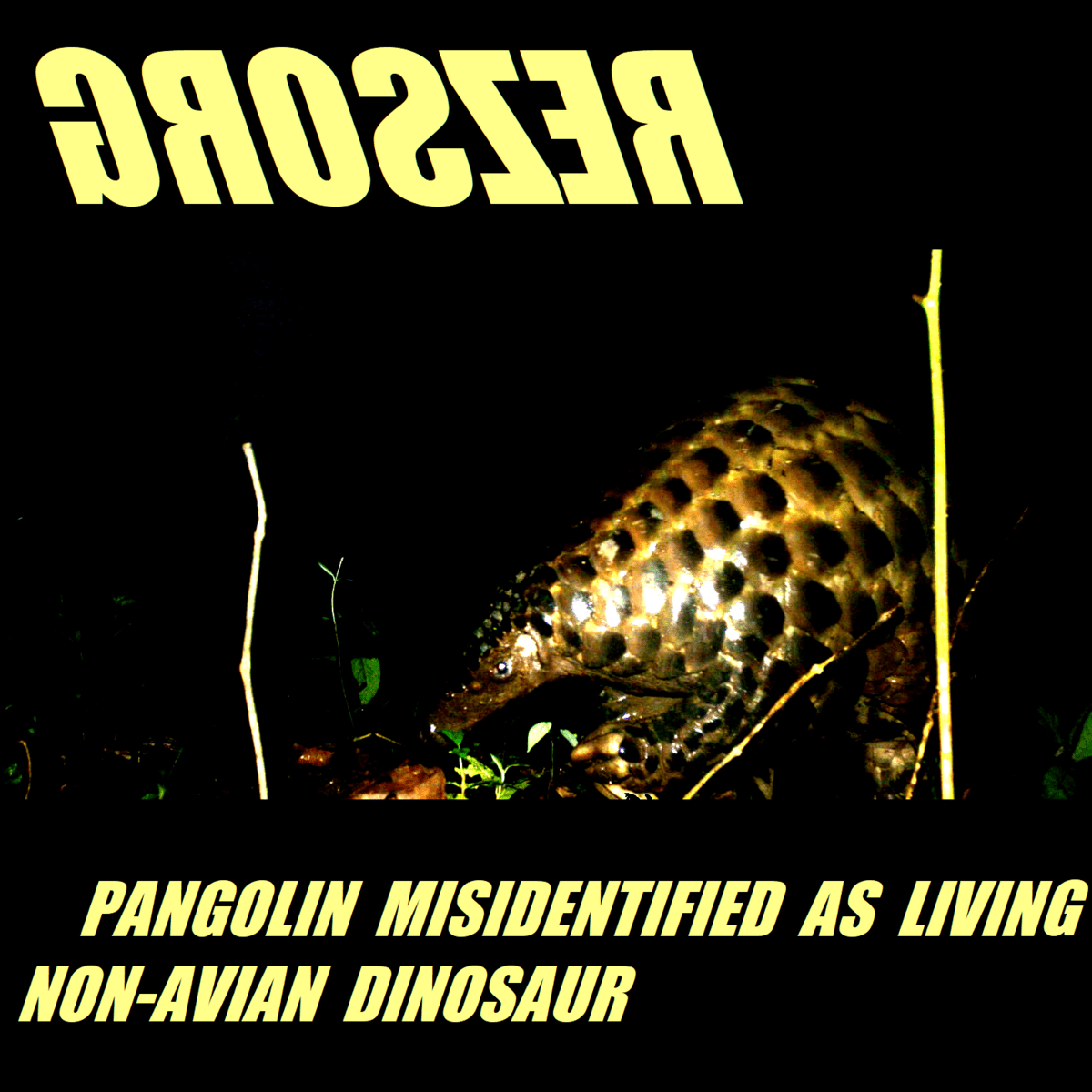 Pangolin Misidentified as Living Non-Avian Dinosaur by Groszer (EP ...