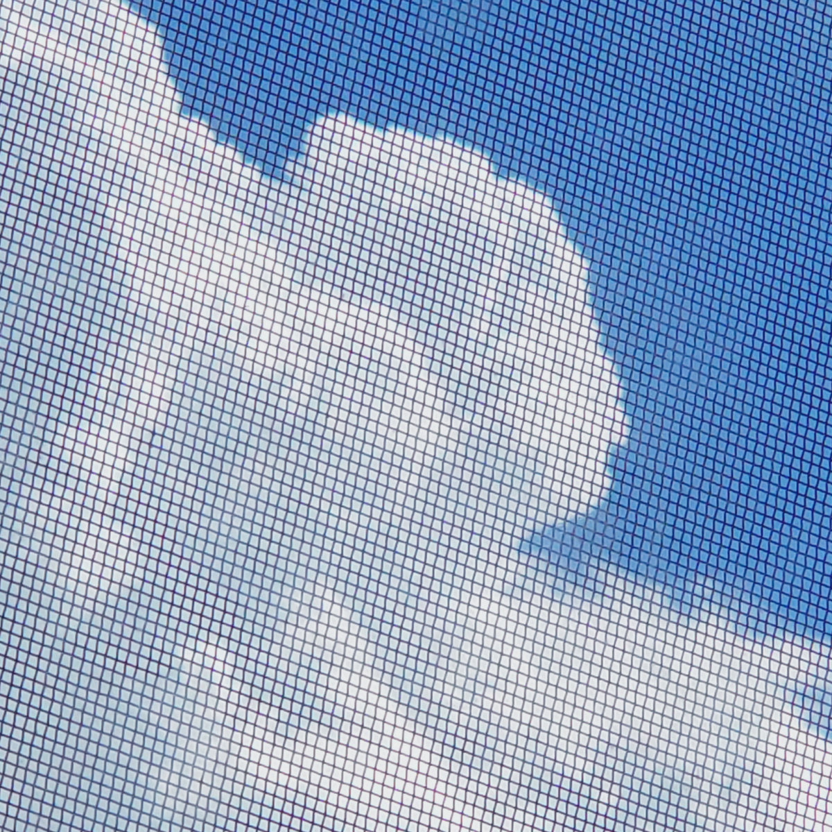 Spingus Albums: songs, discography, biography, and listening guide ...