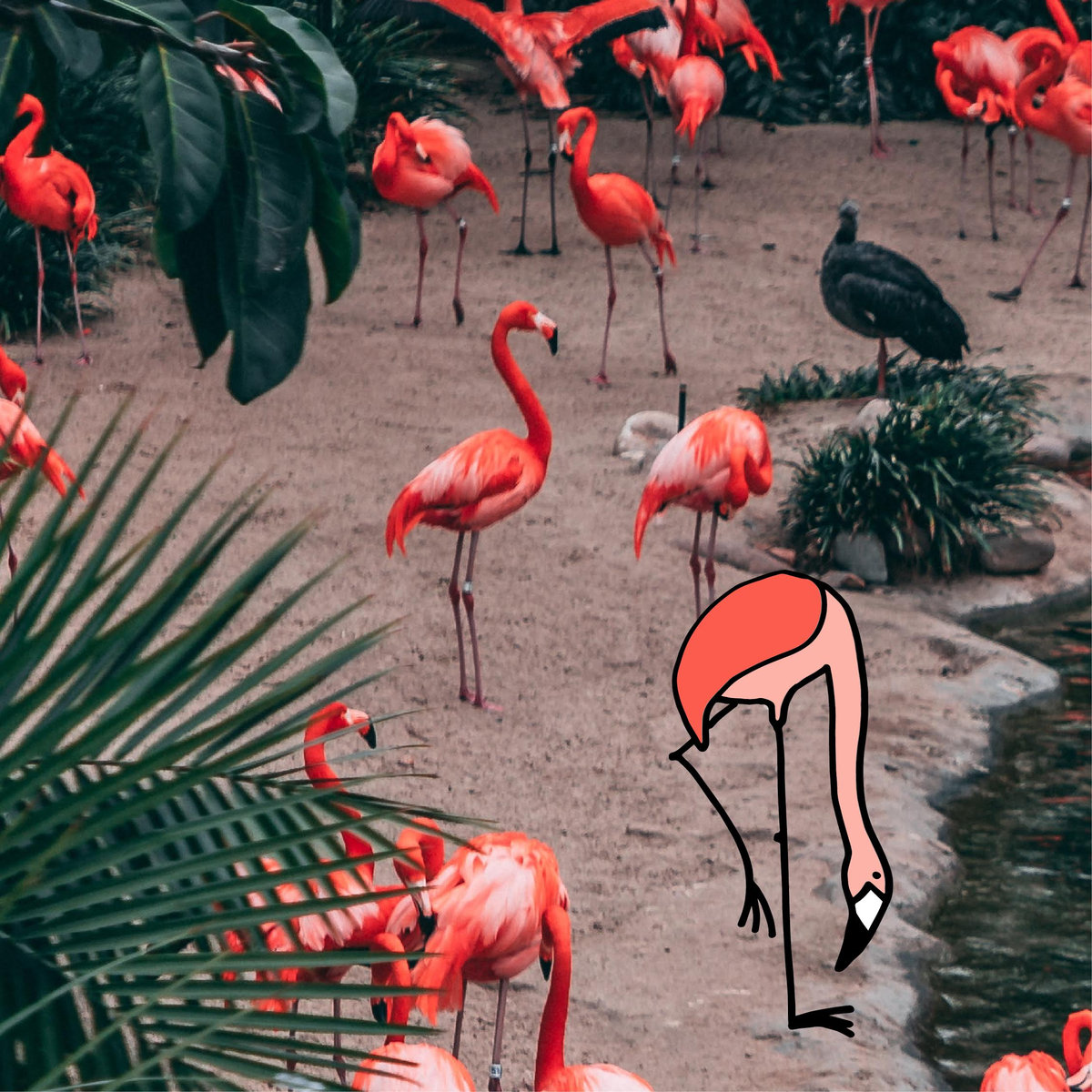 Most popular Skweee albums of 2019 - Rate Your Music