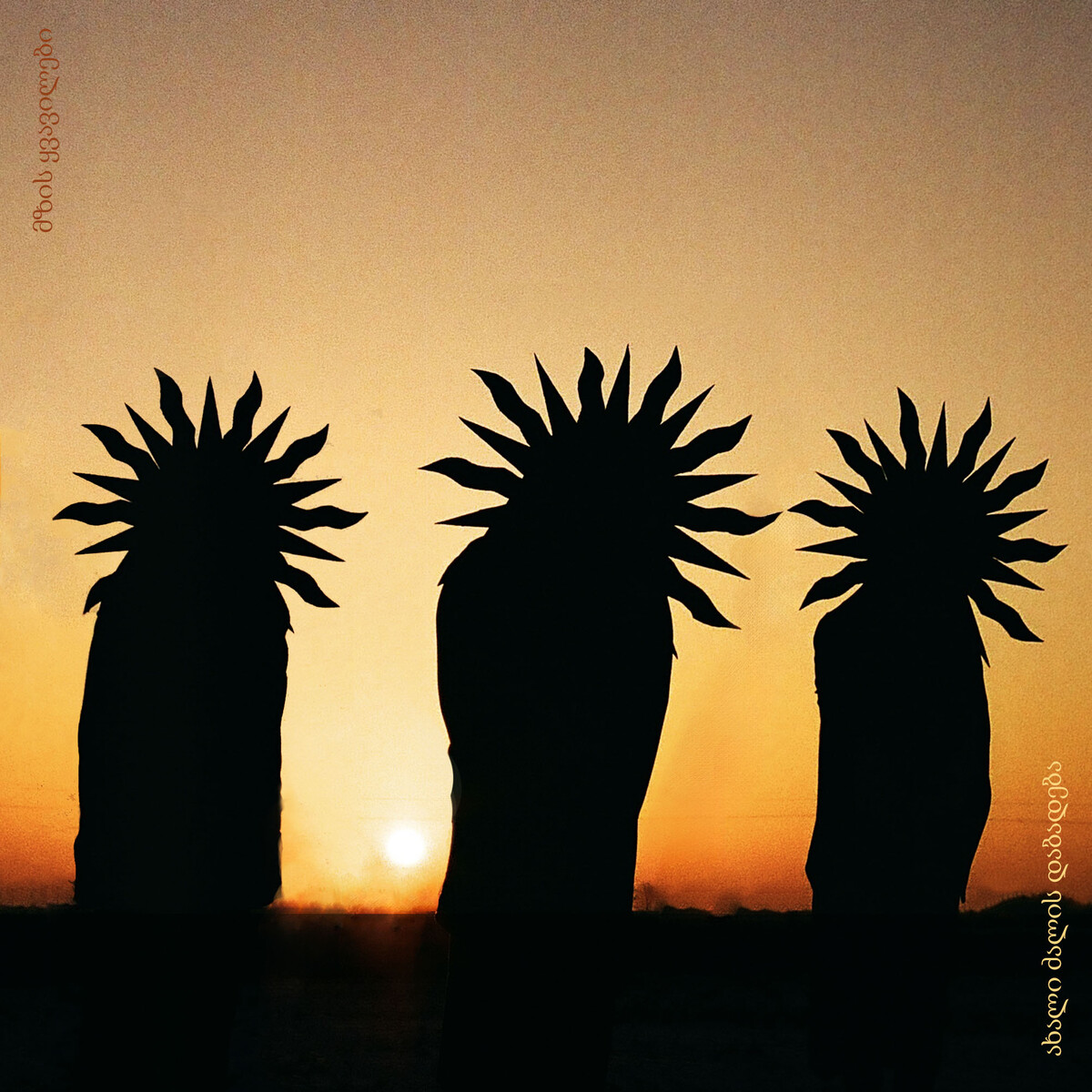 Solar Blooms Albums: songs, discography, biography, and listening guide ...