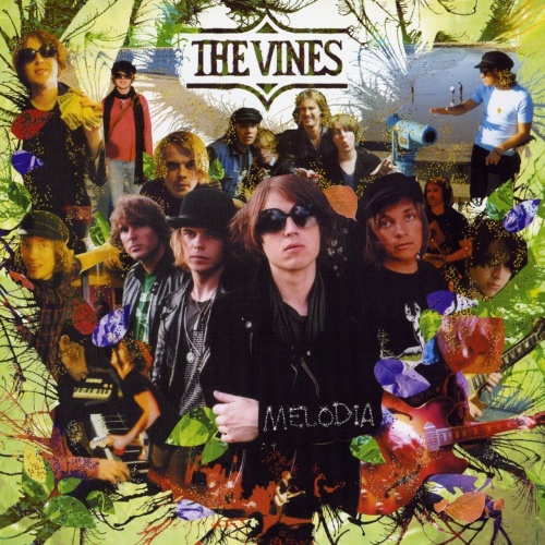 The Vines Albums: songs, discography, biography, and listening guide ...