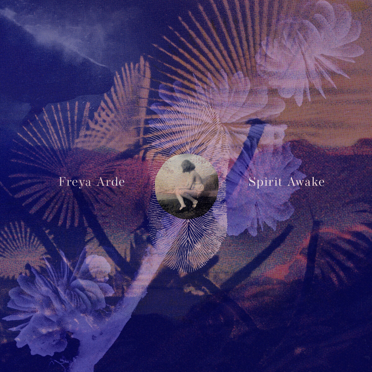 Freya Arde Albums: songs, discography, biography, and listening guide ...