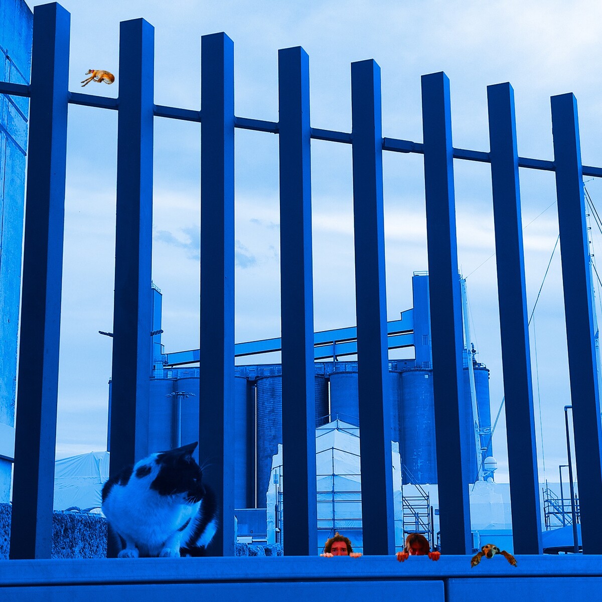 Norma by Jac Mat (Single): Reviews, Ratings, Credits, Song list - Rate ...