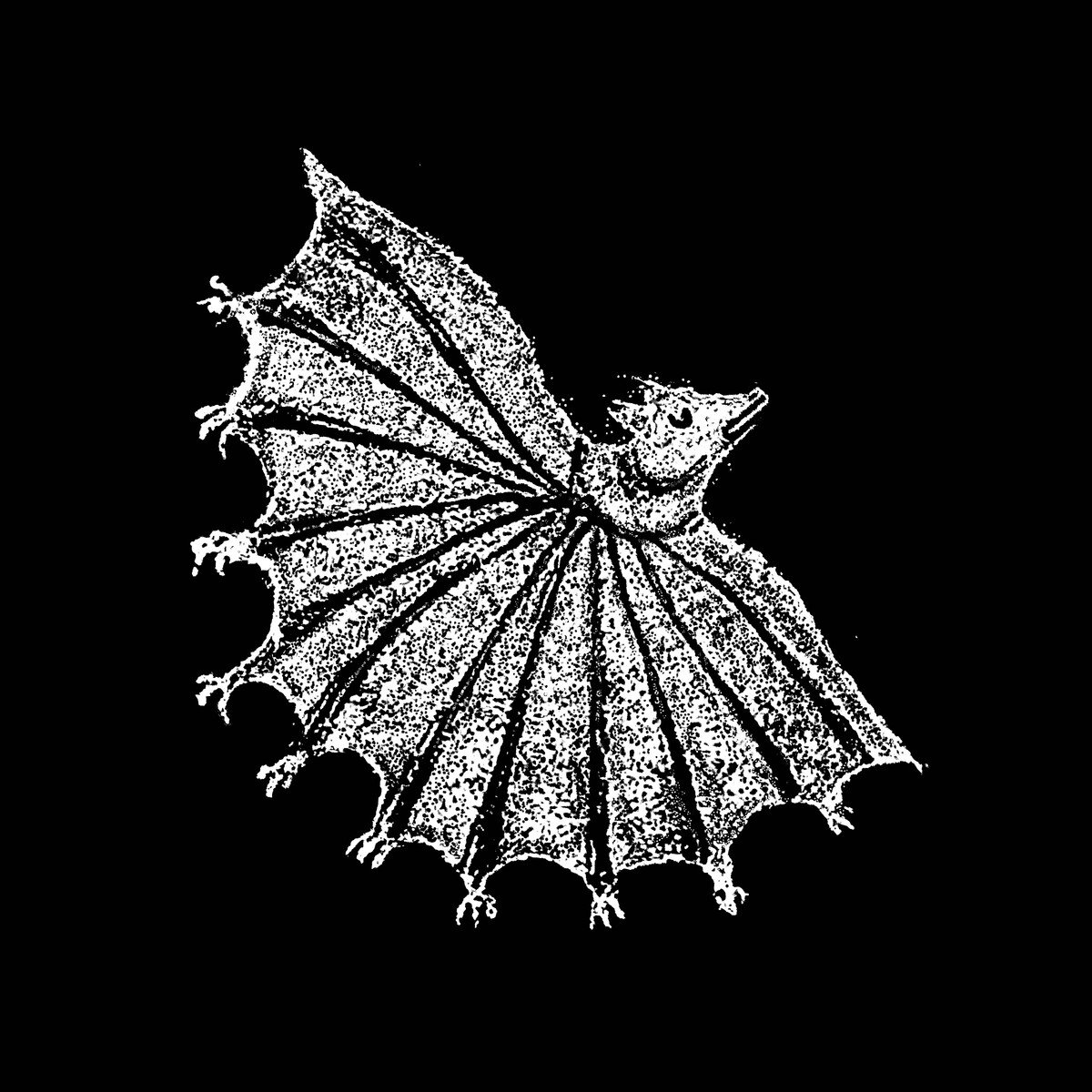 Best Neoclassical Darkwave singles of 2023 - Rate Your Music